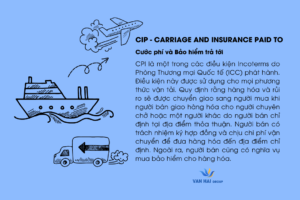 CIP là gì? Nội dung chi tiết điều kiện CIP Incoterms 2020 - Vạn Hải Group